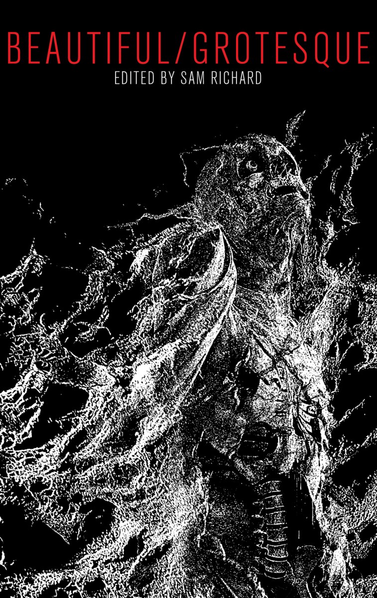 Book Review: BEAUTIFUL/GROTESQUE – Babou 691